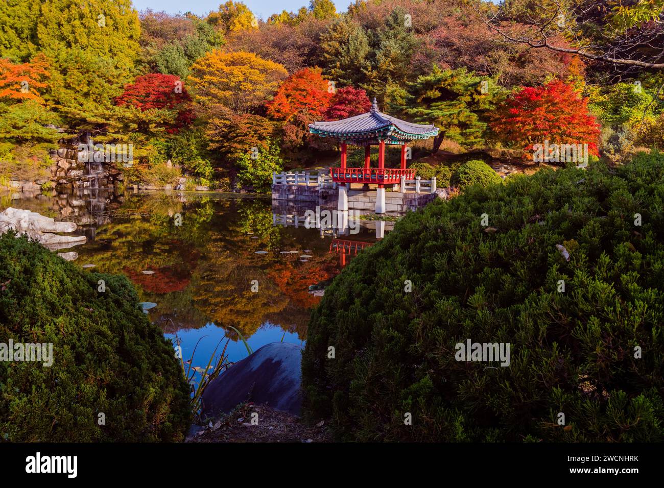Beautiful oriental gazebo with terracotta tile roof at edge of man made ...