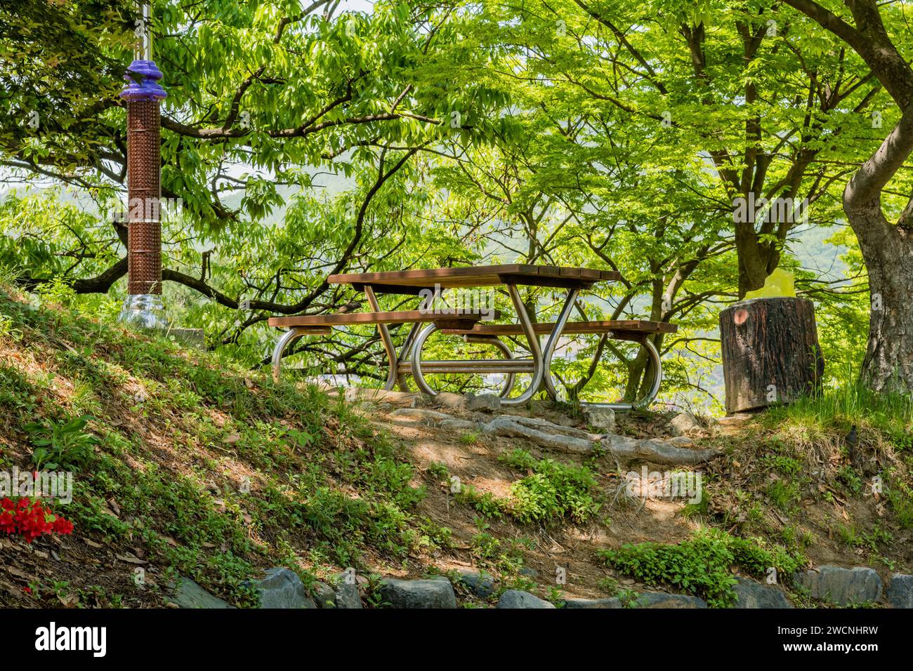Wooden picnic table under branches of trees in public park Stock Photo ...