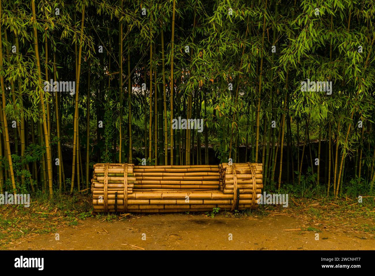 Bamboo park bench in front of grove of bamboo plants in public ...