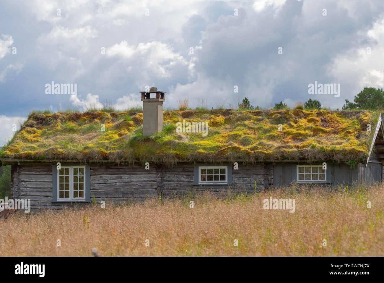 Wooden house, natural roof, grass roof, green roof, log house, natural ...