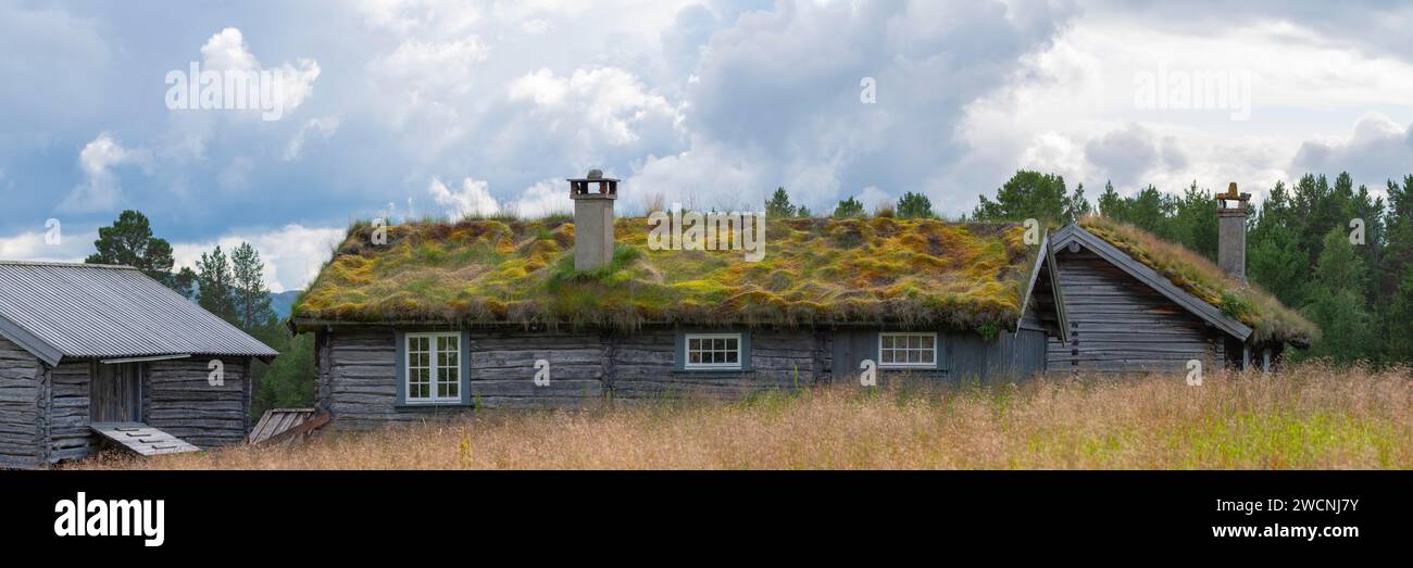 Wooden house, natural roof, grass roof, green roof, log house, natural ...