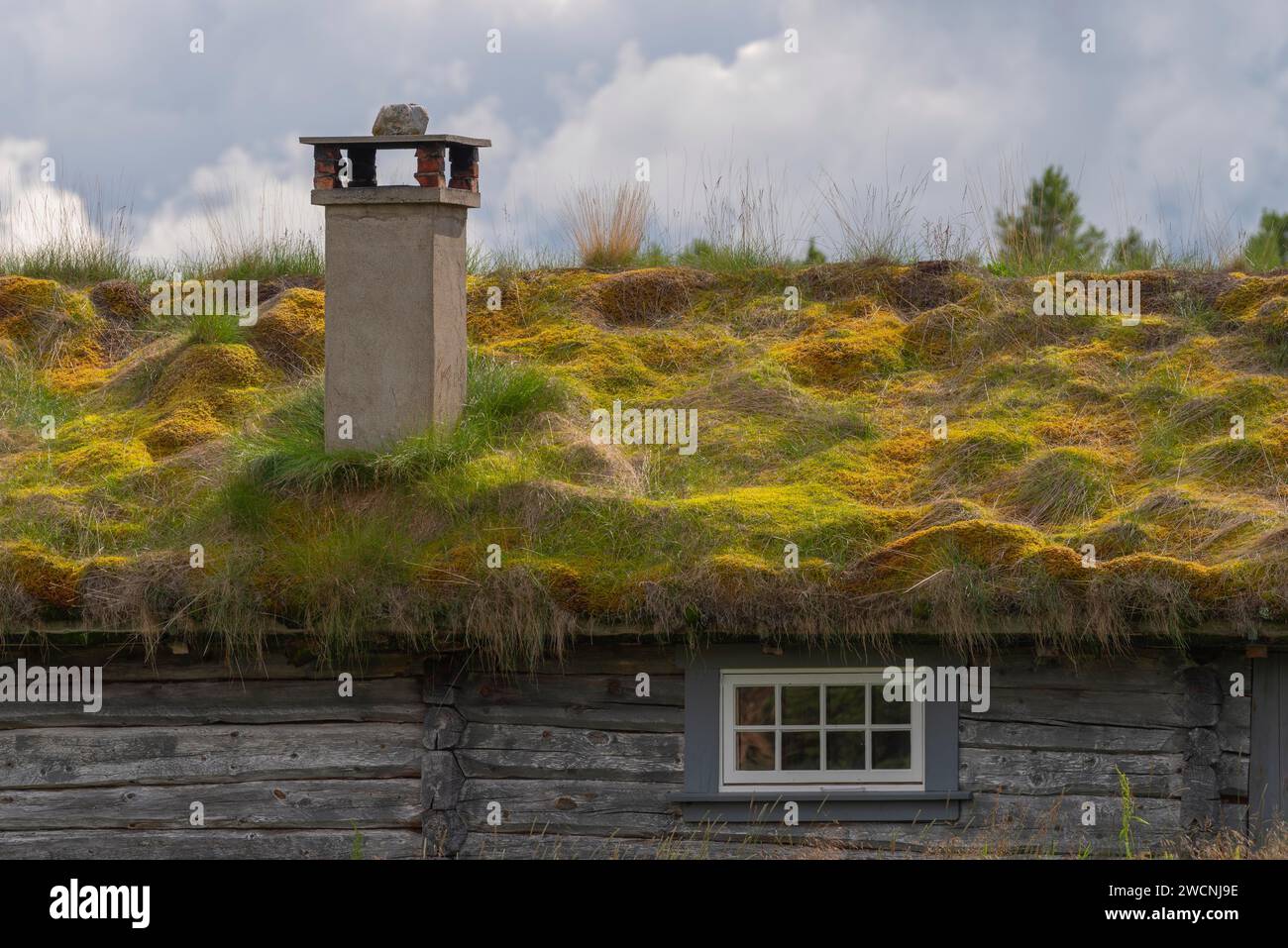 Wooden house, natural roof, grass roof, green roof, log house, natural ...