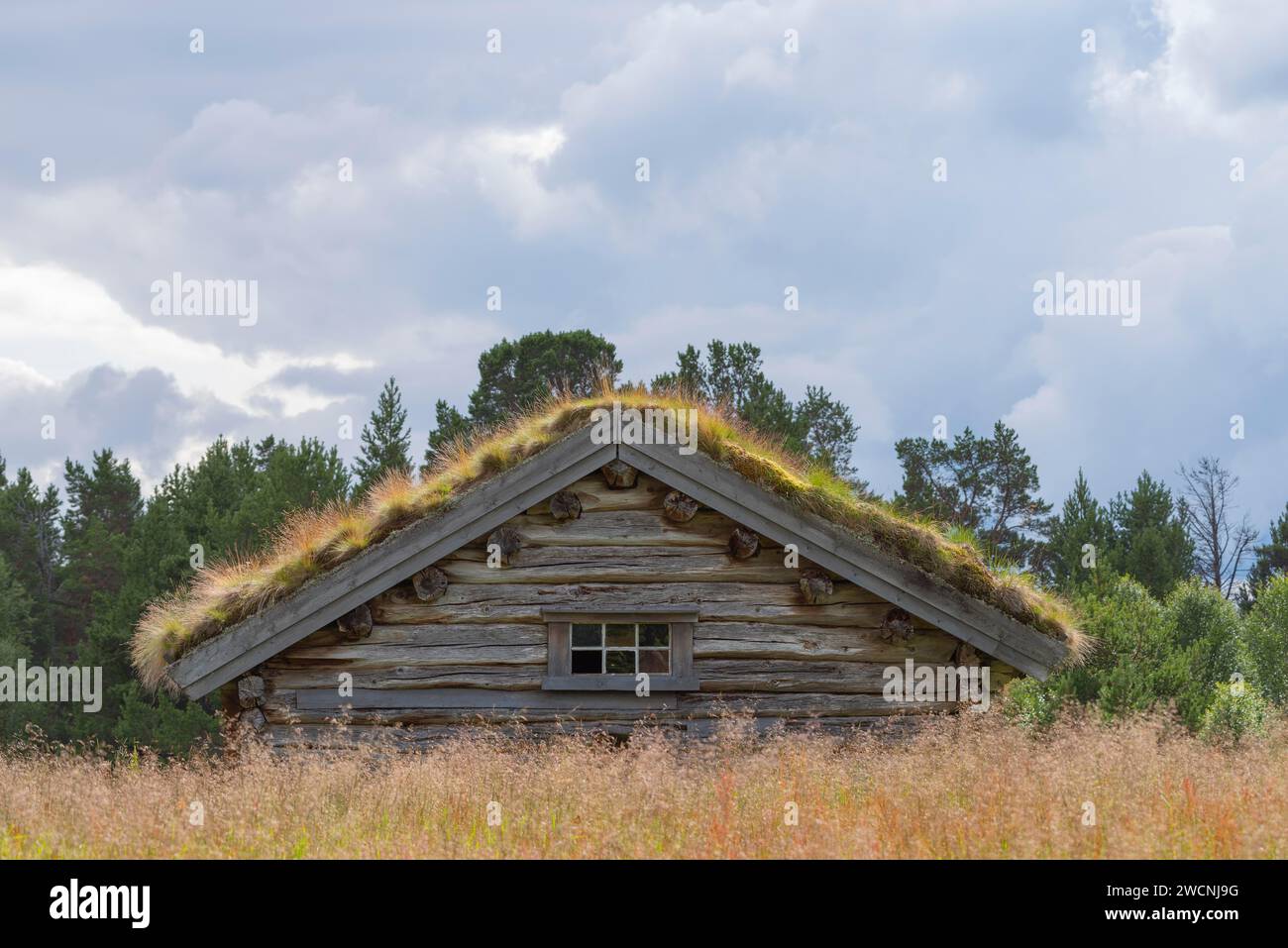 Wooden house, natural roof, grass roof, green roof, log house, natural ...