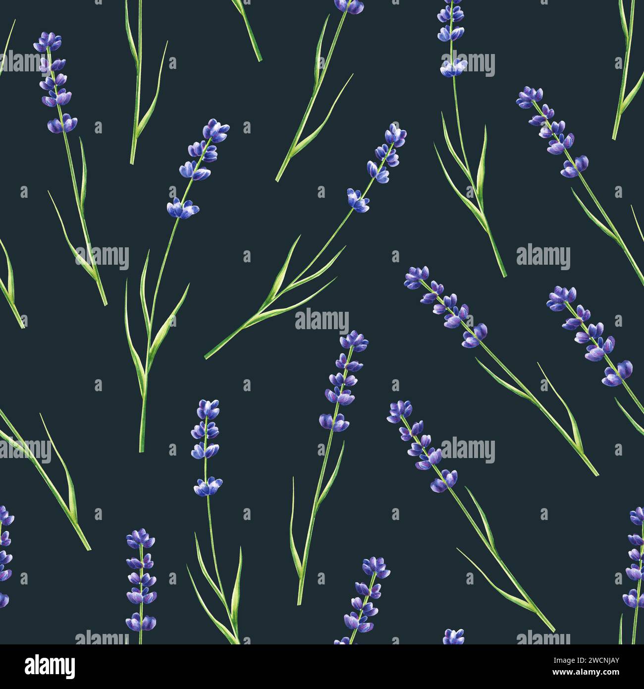Watercolor seamless pattern with lavender illustration isolated on ...