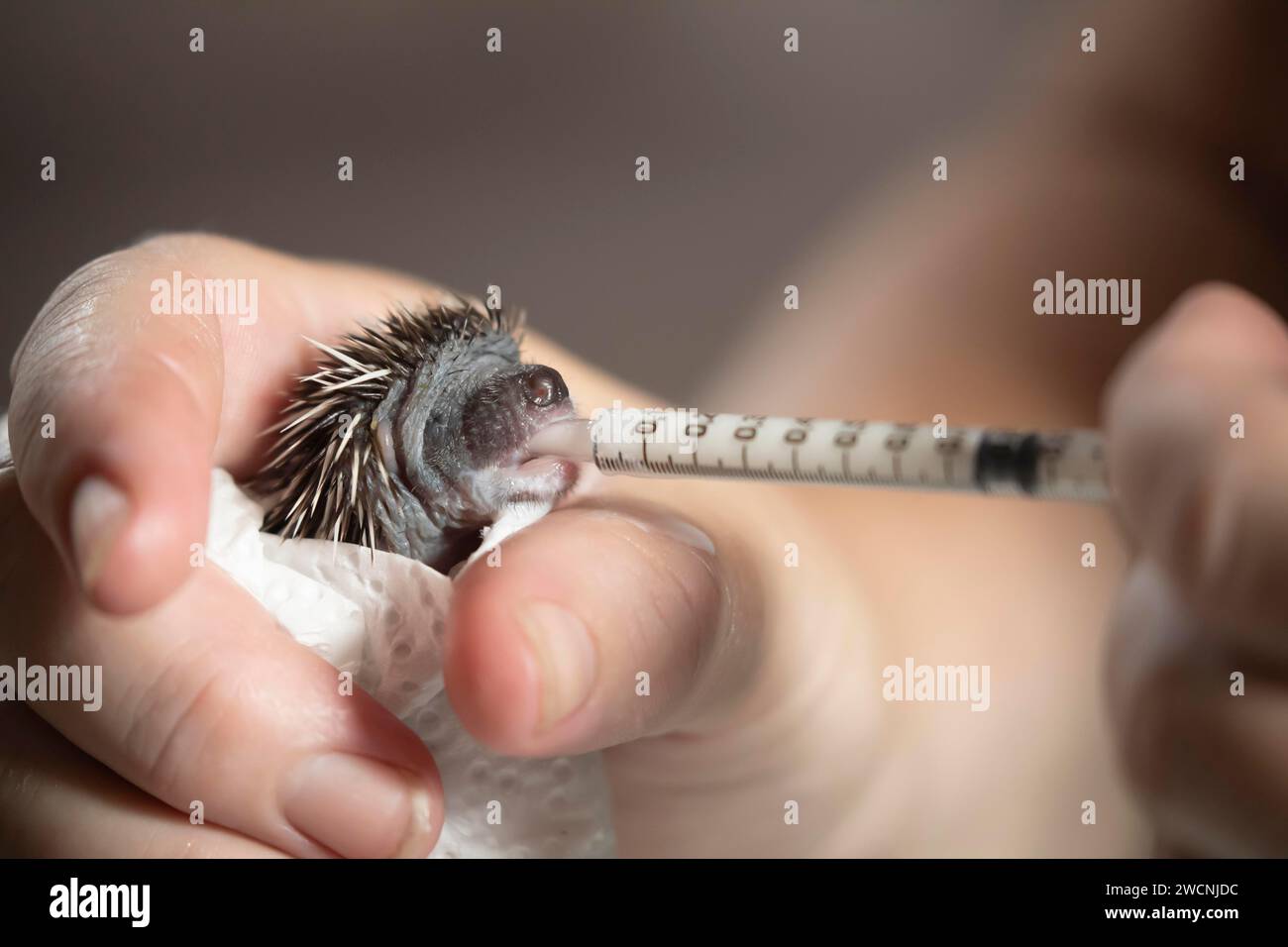 Baby and injection hi-res stock photography and images - Alamy