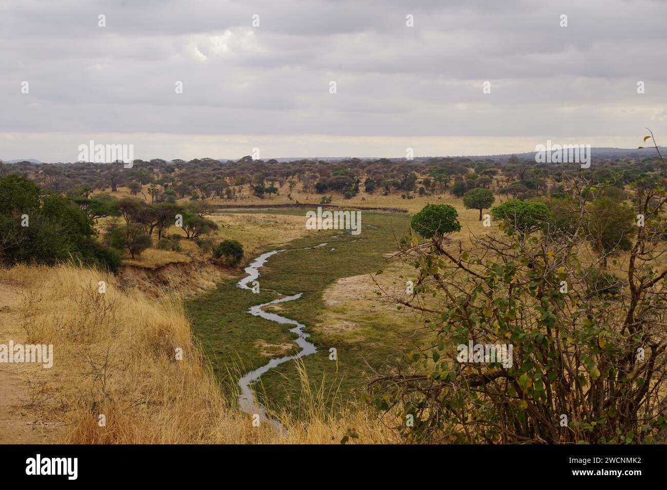 african landscape, scenic outlook, riverbed, savannah Stock Photo - Alamy
