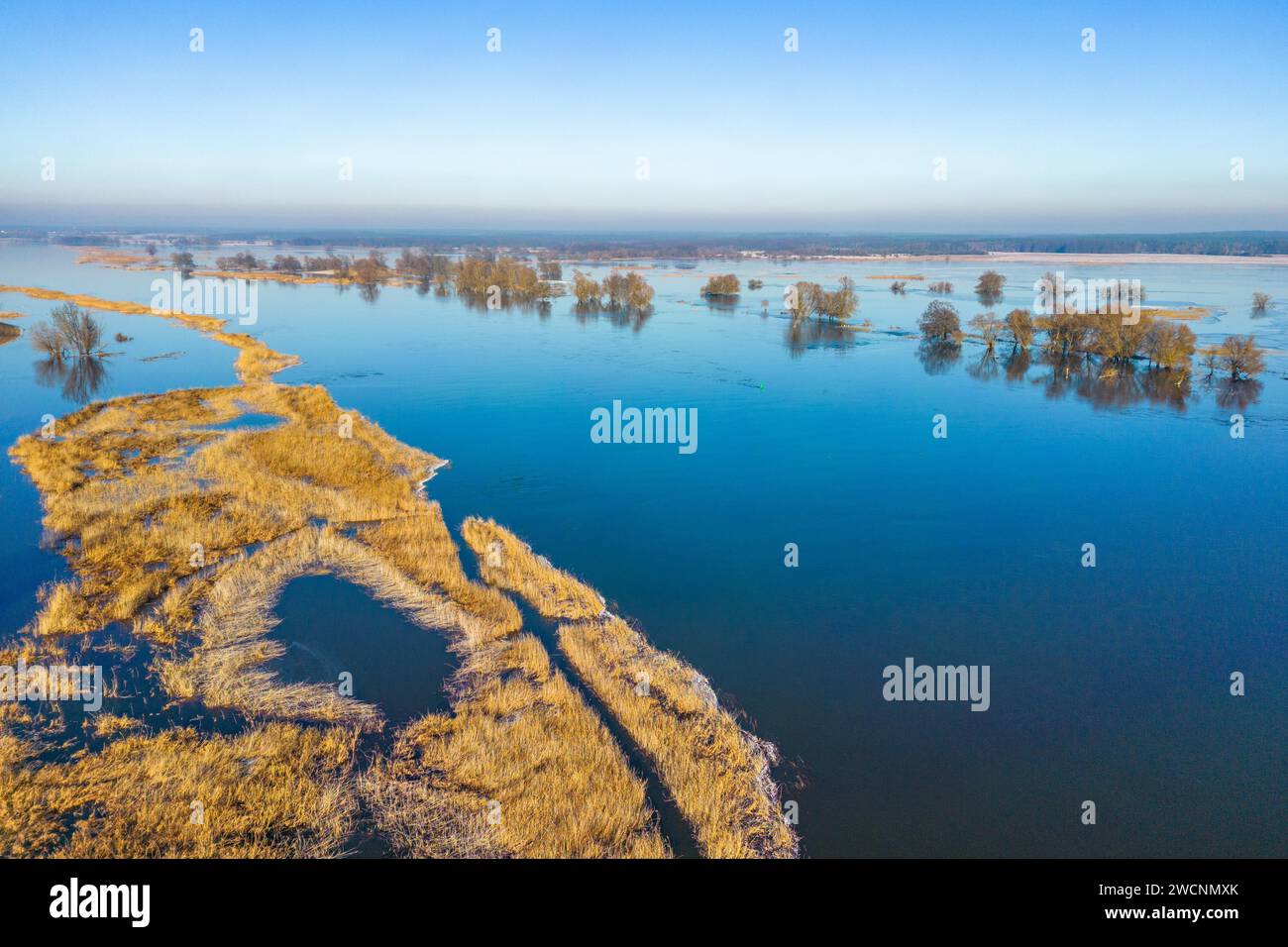 Aerial view, drone photo: Flood, flooded meadows in the floodplains ...