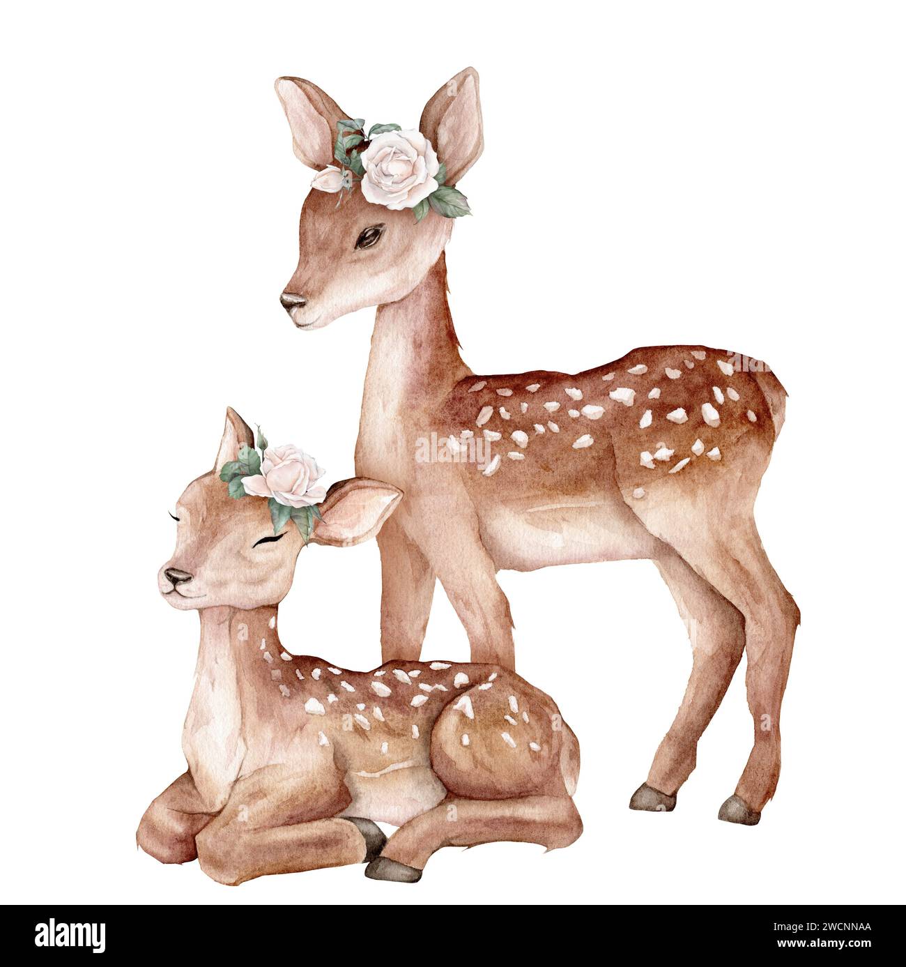 Watercolor baby deer and white roses. Spotted deer isolated on white ...