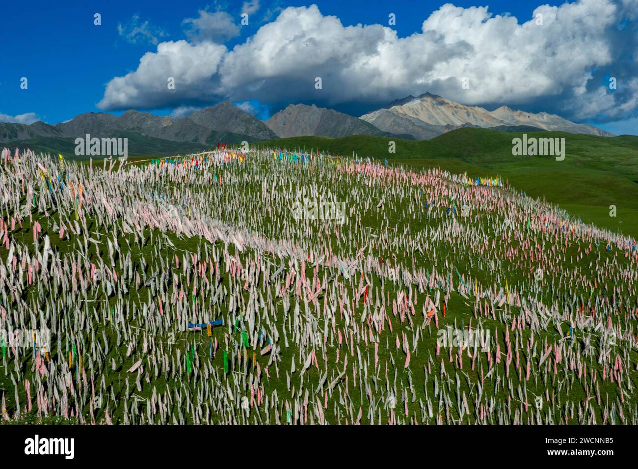 Tibet, Kham, Litang. Tibetan nomads near Litang. Hill covered in ...