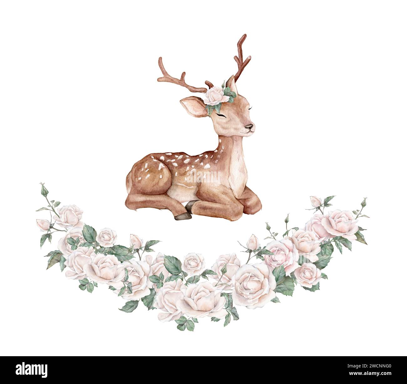 Watercolor baby deer and white roses. Spotted deer isolated on white ...