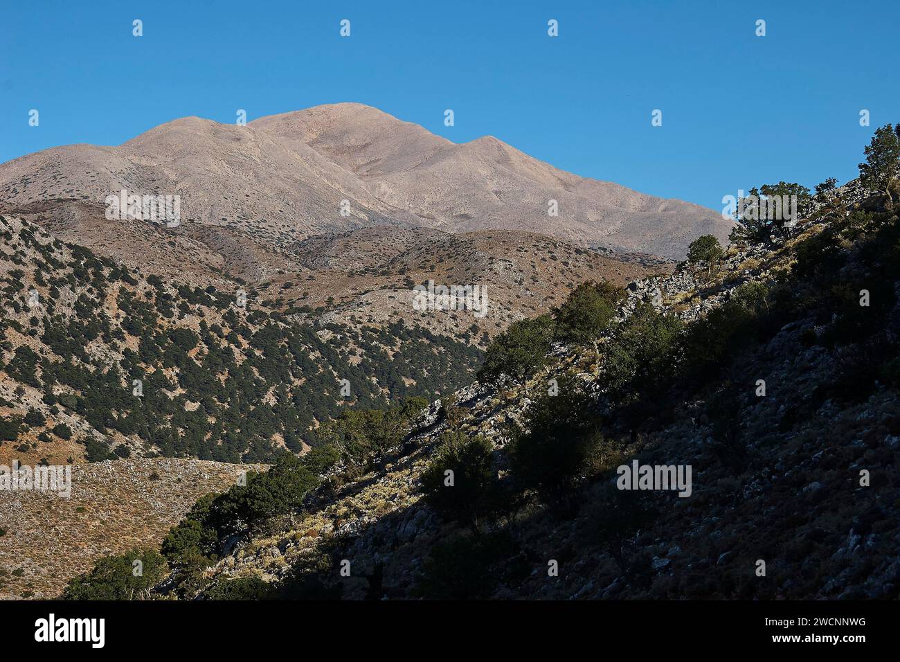 Mountainside trees hi-res stock photography and images - Alamy