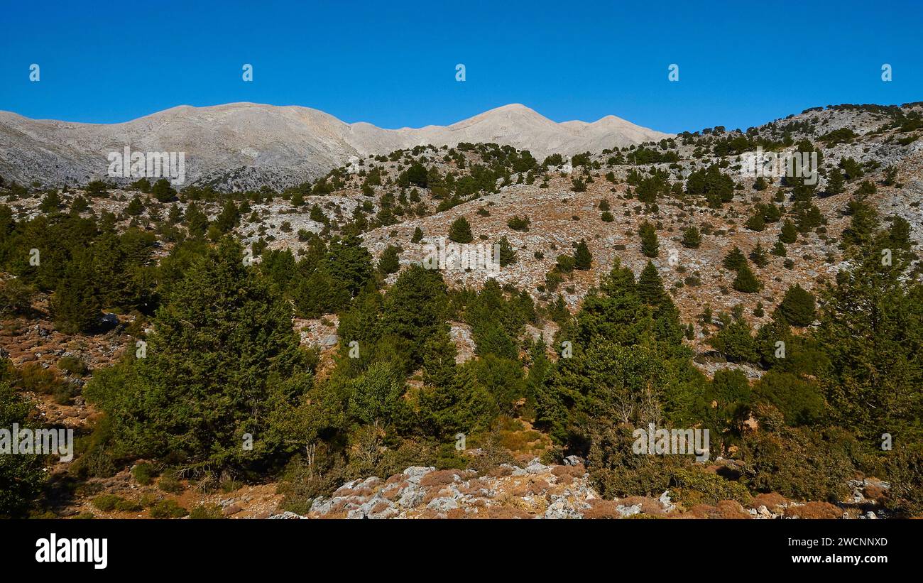Niatos Plateau, Forest-covered hills and ridges under a wide blue sky ...