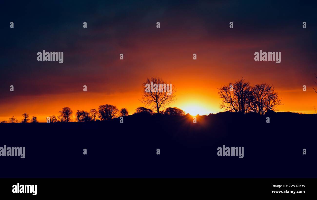 Tree silhouette at sunrise Stock Photo - Alamy