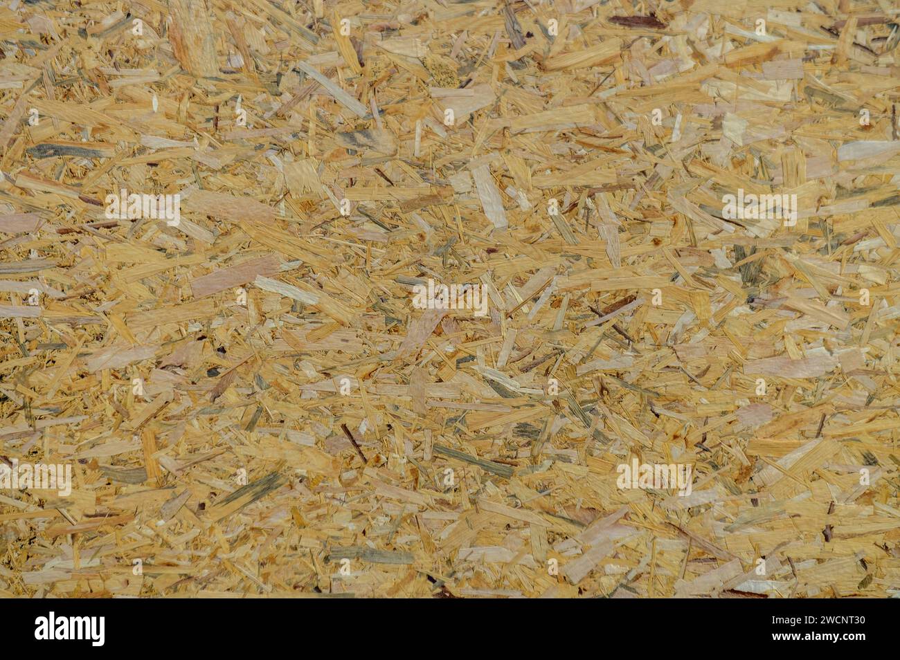 sheet of OSB board as background 1 Stock Photo - Alamy