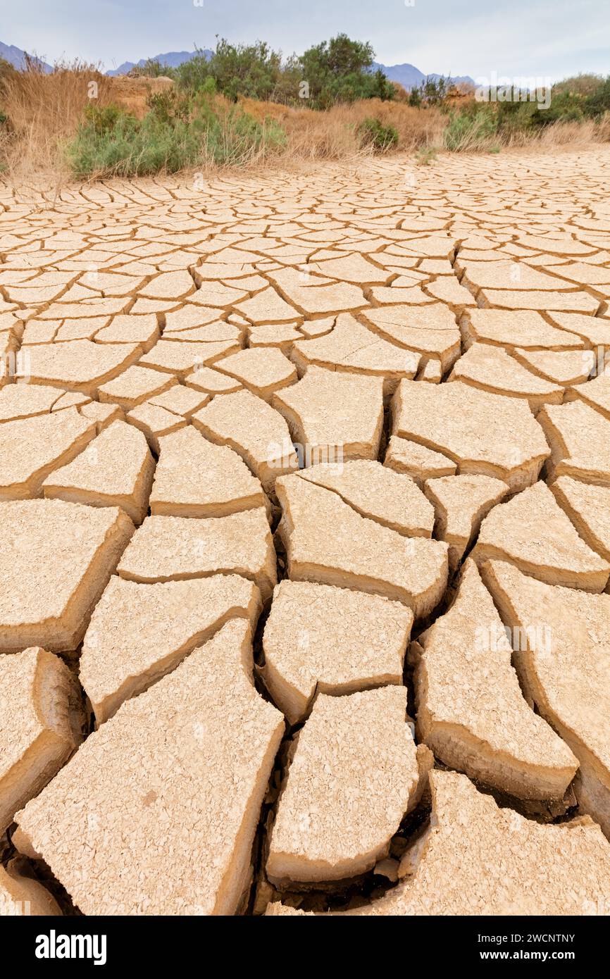 Dry earth in Israel, Middle East, water shortage, drought, Israel Stock ...