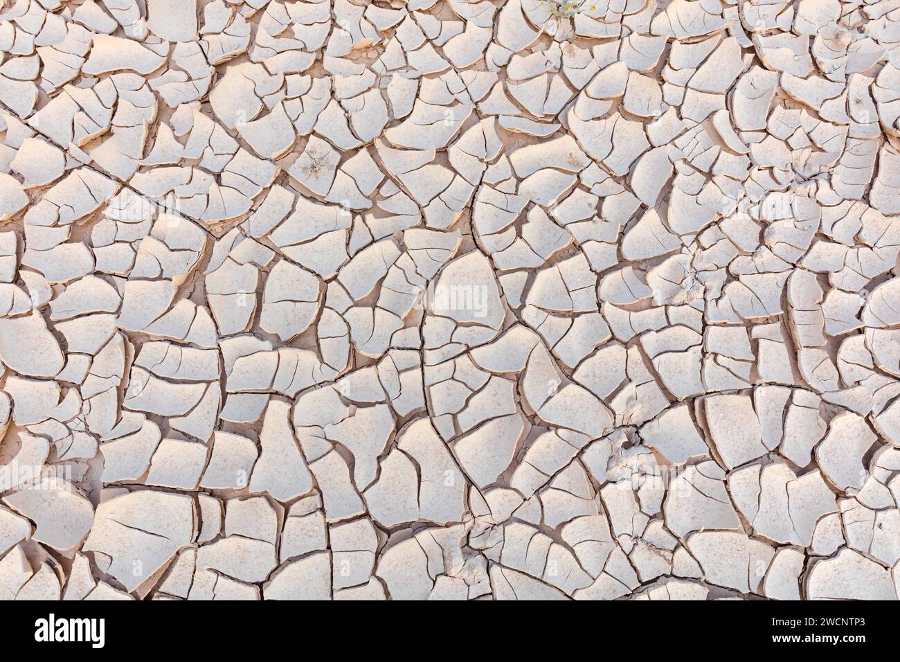 Dry earth in Israel, Middle East, water shortage, drought, Israel Stock ...