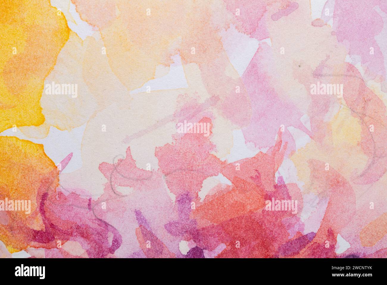 Painted in watercolor on a white background. Hand painted watercolor ...