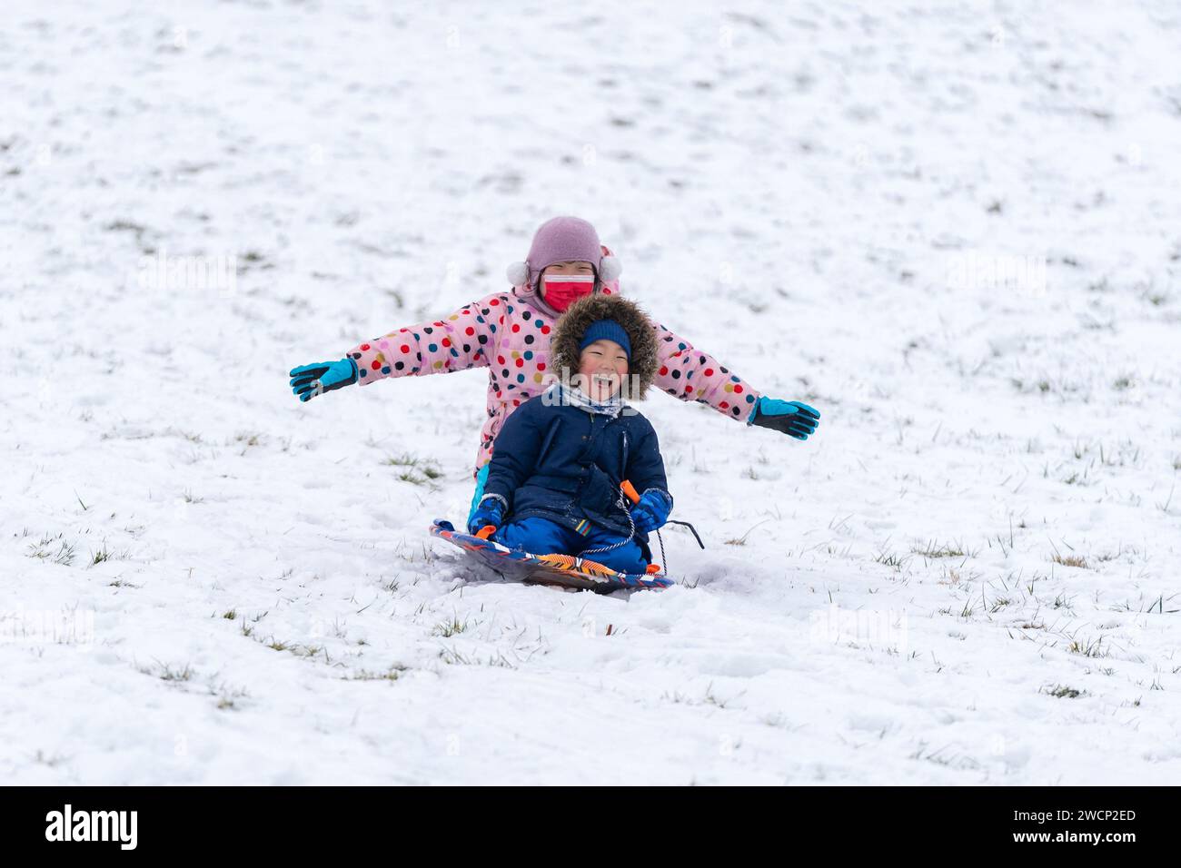 Arlington, United States. 16th Jan, 2024. Children sled down a hill ...