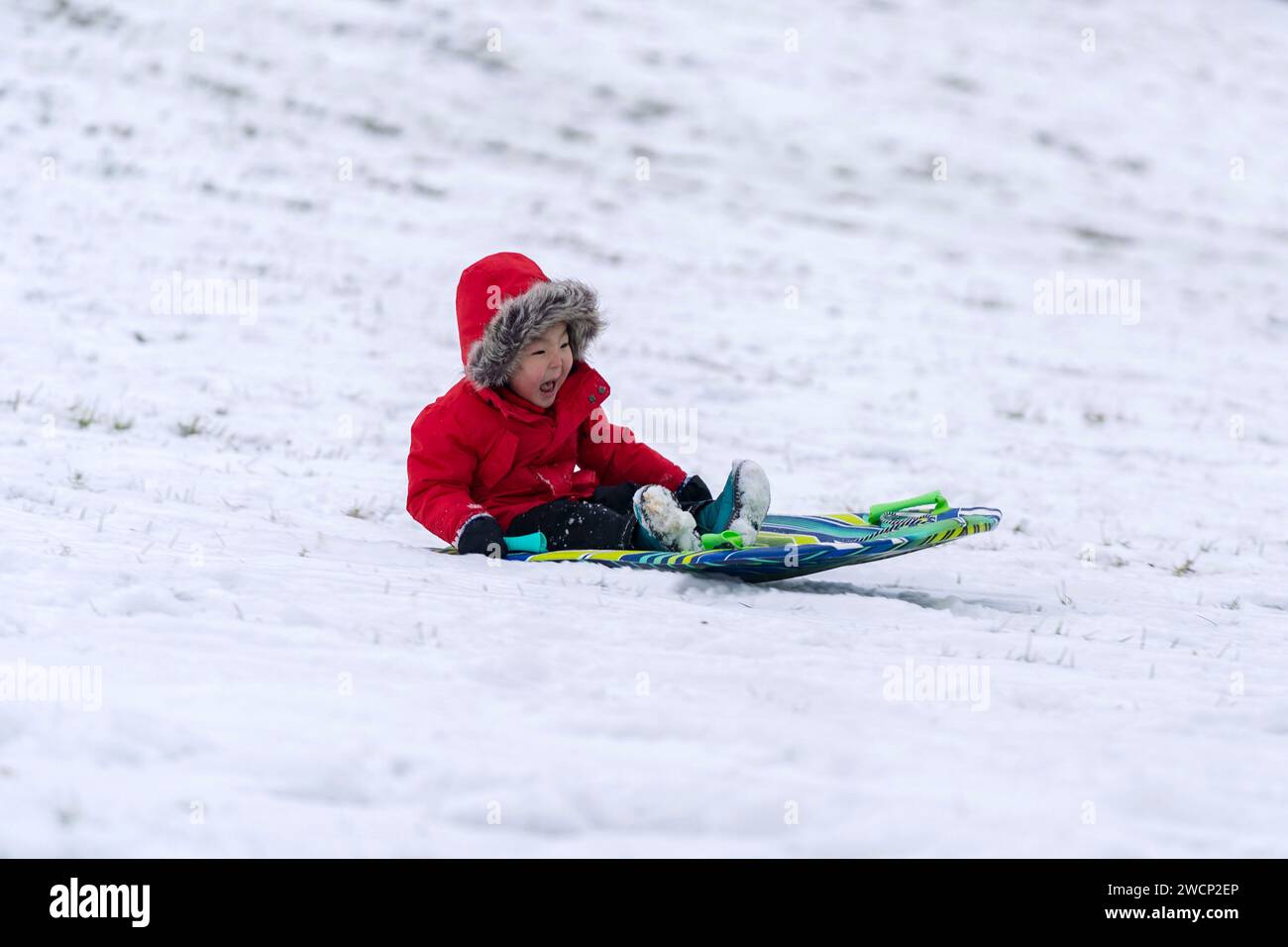 Arlington, United States. 16th Jan, 2024. Children sled down a hill ...