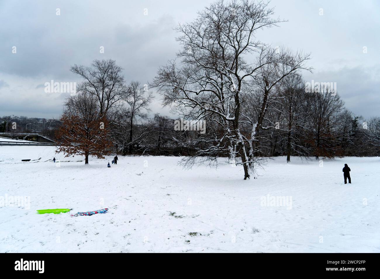 Arlington, United States. 01st Jan, 2019. Children sled down a hill ...