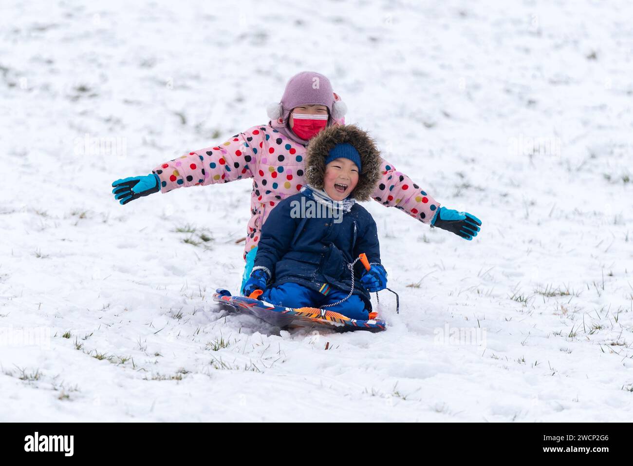 Arlington, United States. 16th Jan, 2024. Children sled down a hill ...
