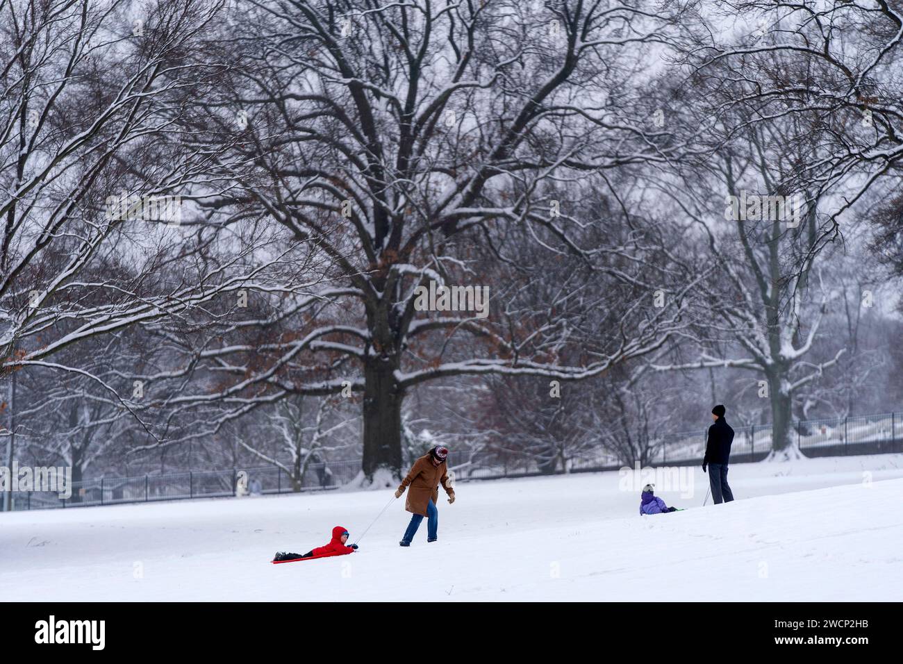 Arlington, United States. 16th Jan, 2024. Families play in the snow ...