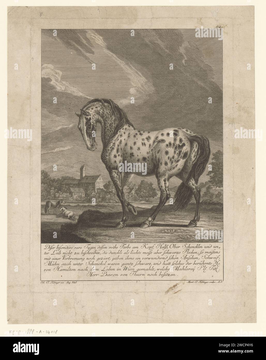 Special Tiger Fout, Martin Elias Ridinger, After Hugh Douglas Hamilton ...