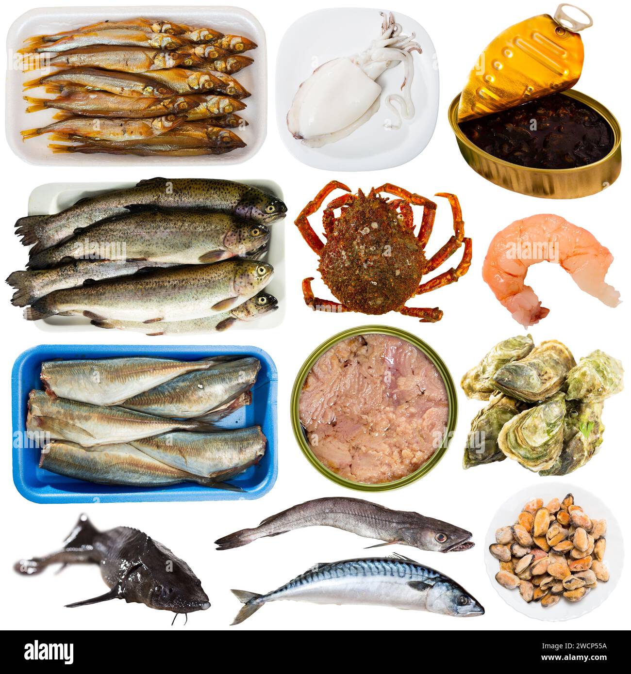 Collection of raw fish and semi-finished seafood Stock Photo - Alamy