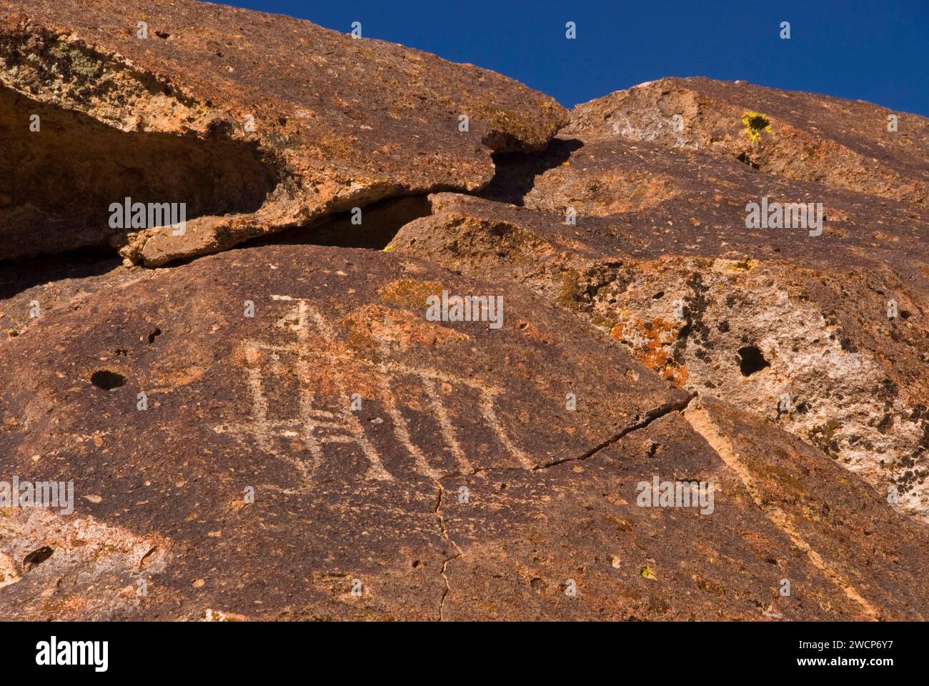 Red Rock Petrogylphs, Fish Slough Area of Critical Environmental ...