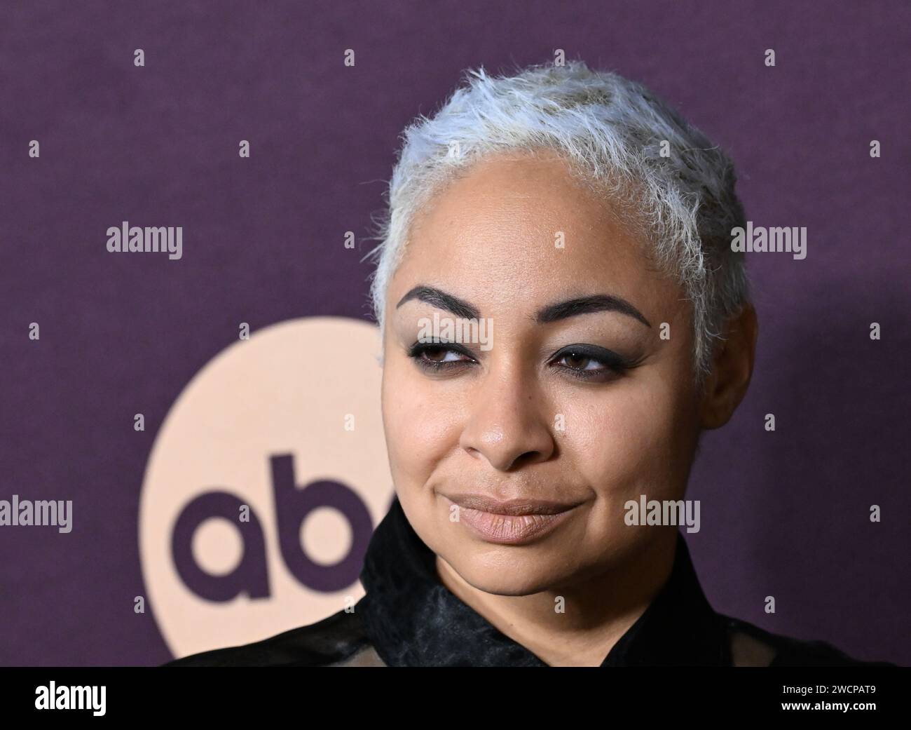 Los Angeles, USA. 15th Jan, 2024. Raven Simone arriving at The Walt ...