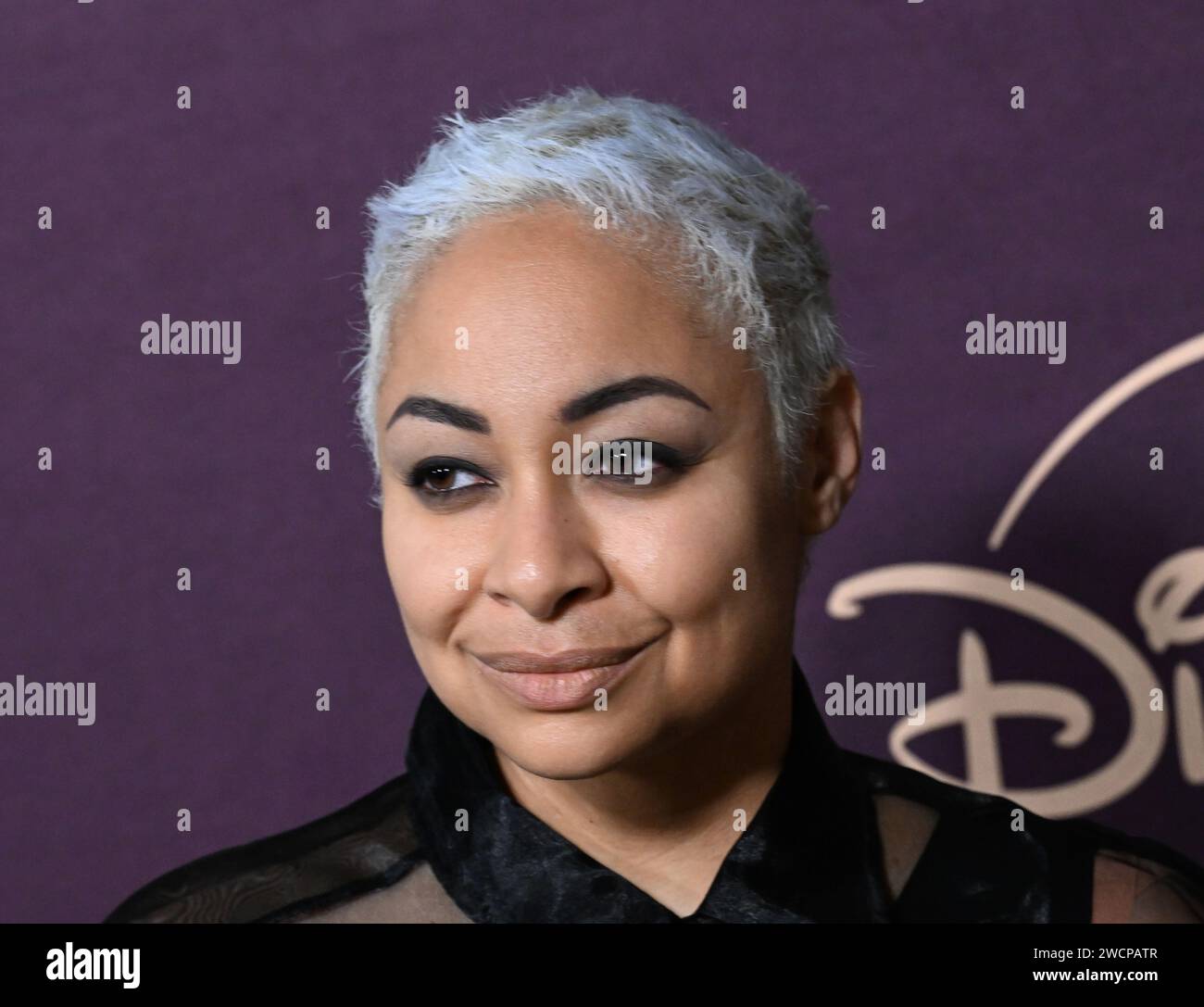 Los Angeles, USA. 15th Jan, 2024. Raven Simone arriving at The Walt Disney Company Emmy Awards ...
