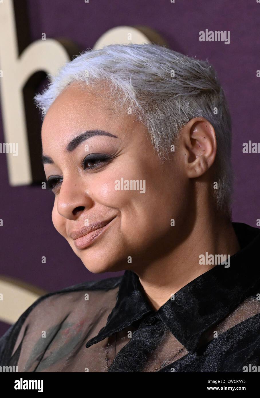 Los Angeles, USA. 15th Jan, 2024. Raven Simone arriving at The Walt ...