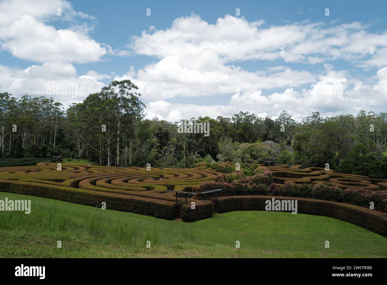 The beautifully designed Bago Maze with lush green lawns at Port ...