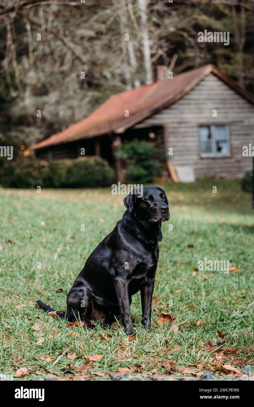 Oldhousescenery hi-res stock photography and images - Alamy