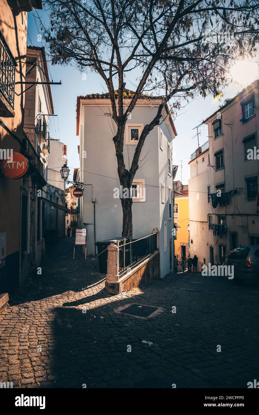 A beautiful shot of a stunning architectural landscape in Lisbon ...