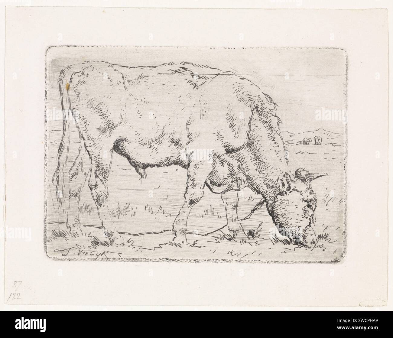 Landscape with grazing bull, Jan Vrolijk, 1860 - 1885 print The Hague ...