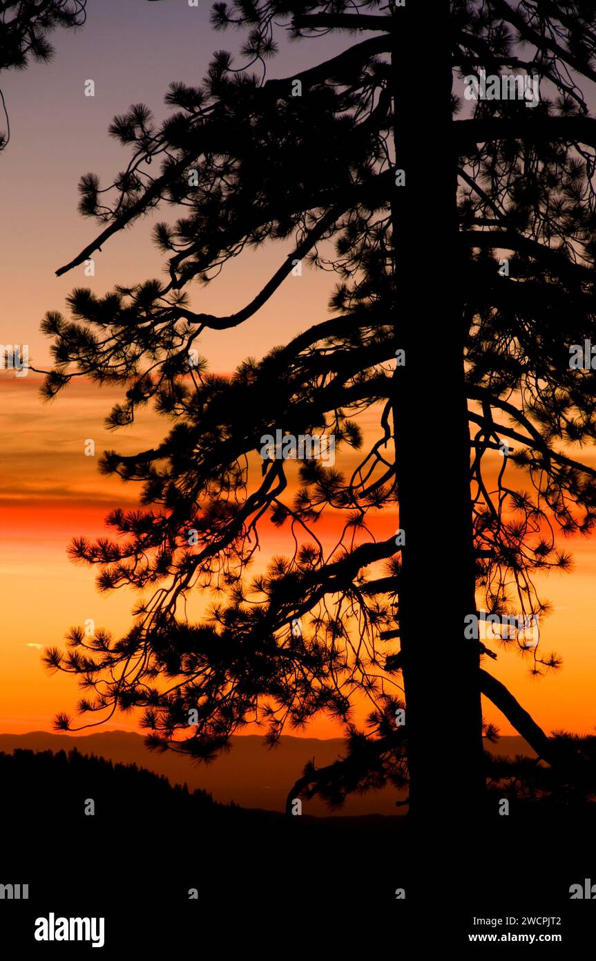 Sunset along Sentinel Dome Trail, Yosemite National Park, California ...