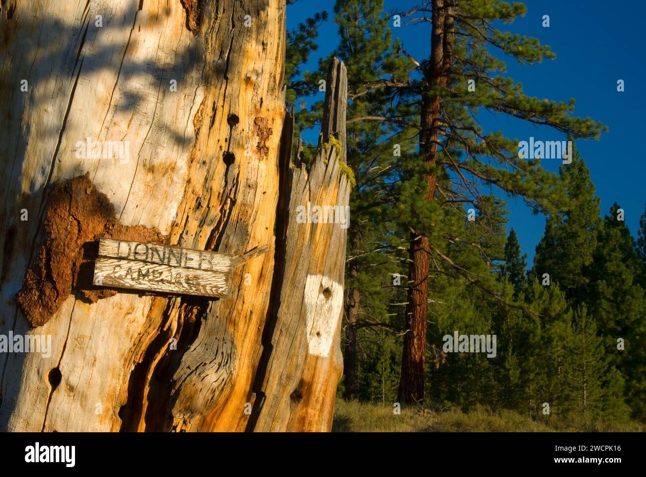 Donner Camp sign, Yuba-Donner National Forest Byway, Tahoe National ...