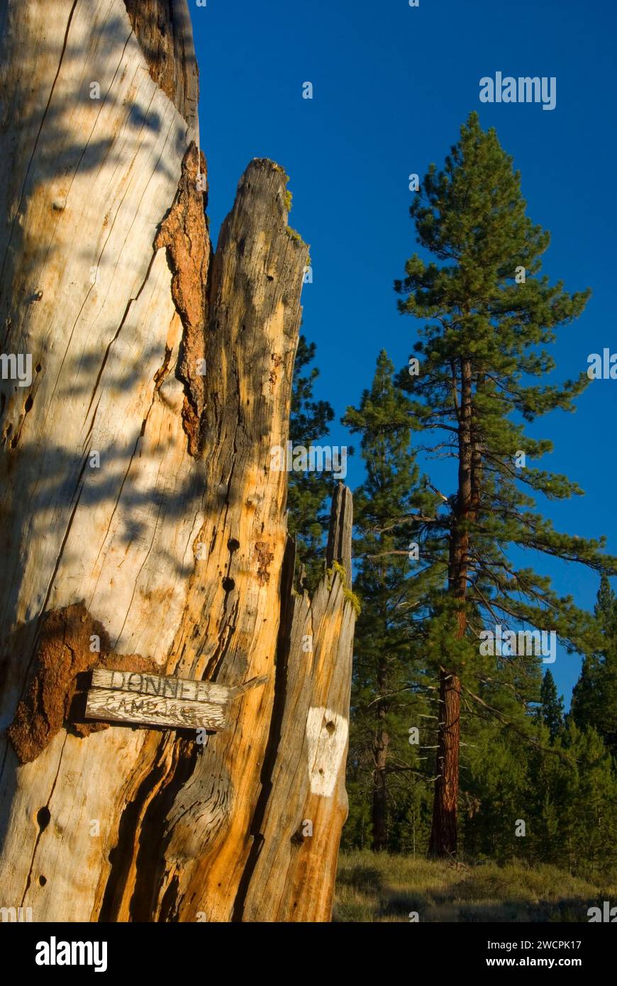 Donner Camp sign, Yuba-Donner National Forest Scenic Byway, Tahoe ...