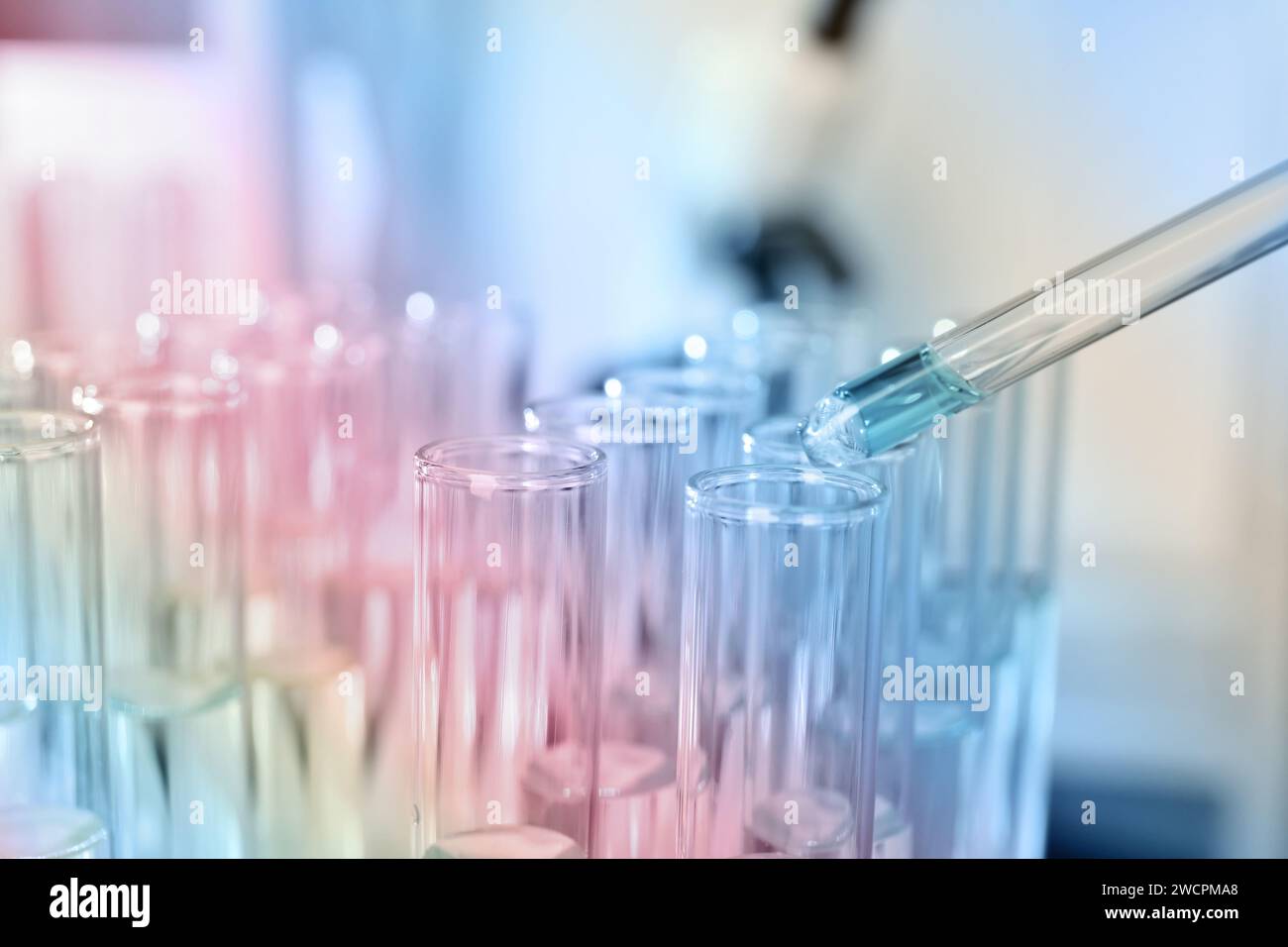 Dripping reagent into test tube with sample at laboratory, closeup ...