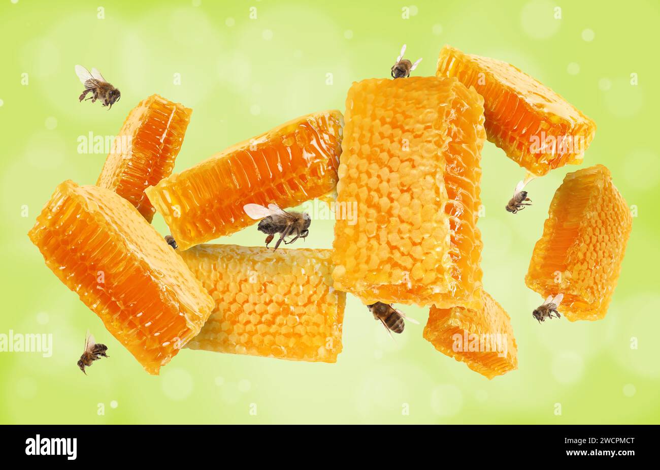 Pieces of honeycomb in air and bees flying on yellowish green ...