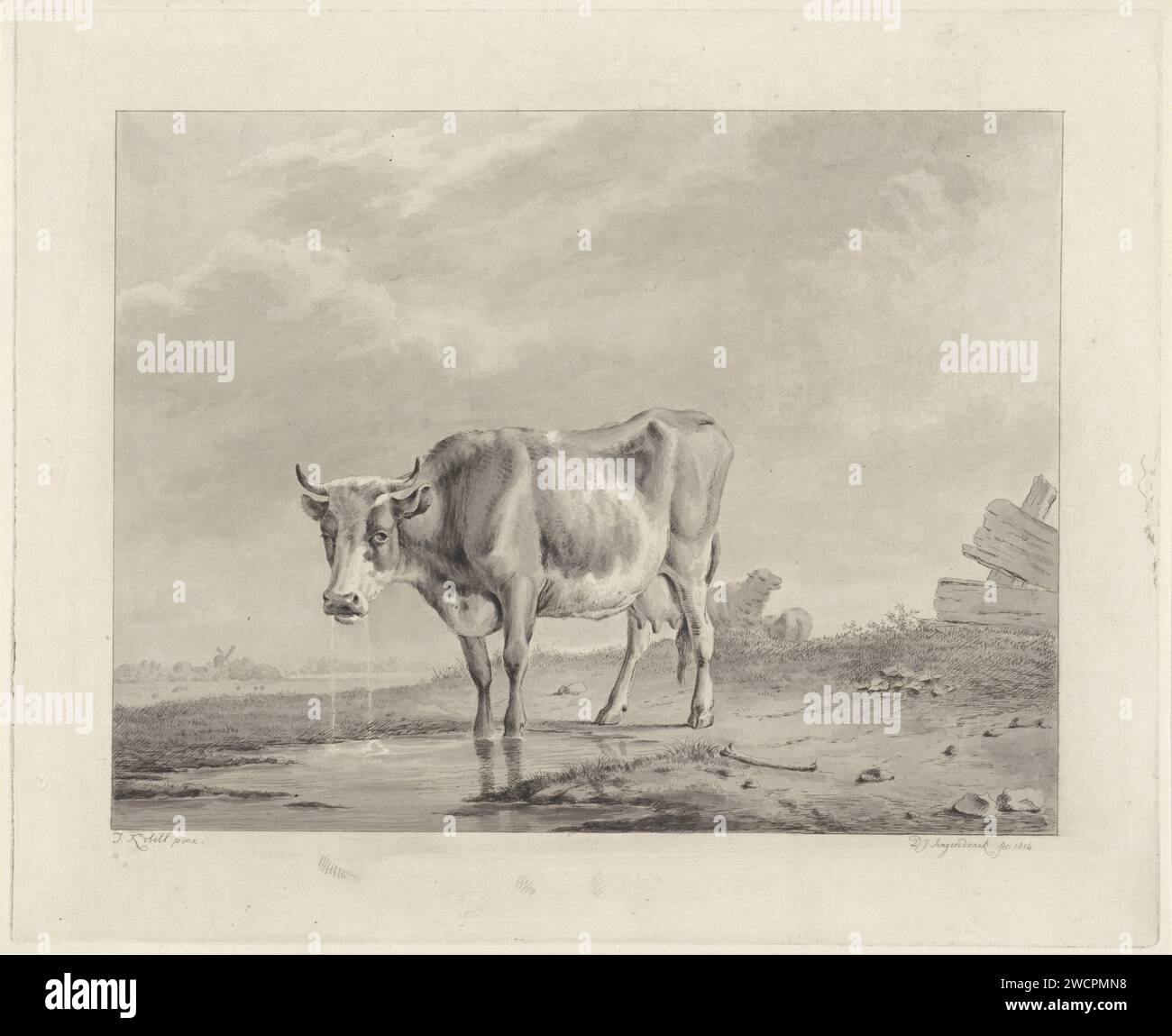 Drinking cow on the water, Diederik Jan Singendonck, after Jan Kobell ...