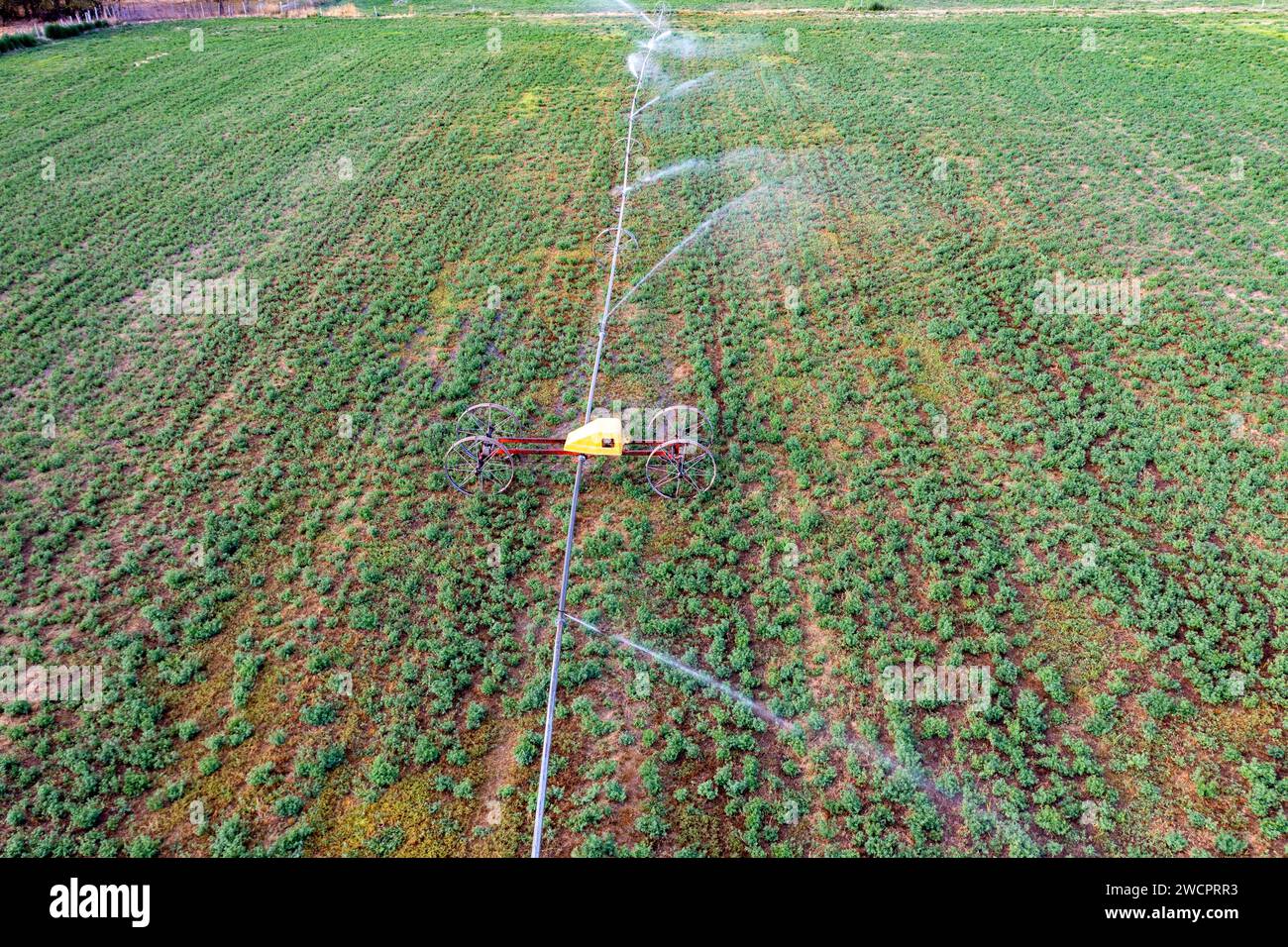 Aerial view of wheel line irrigation system Stock Photo - Alamy