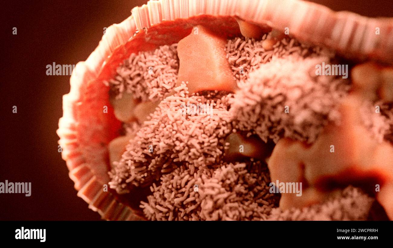 Plant root nodule, illustration Stock Photo - Alamy