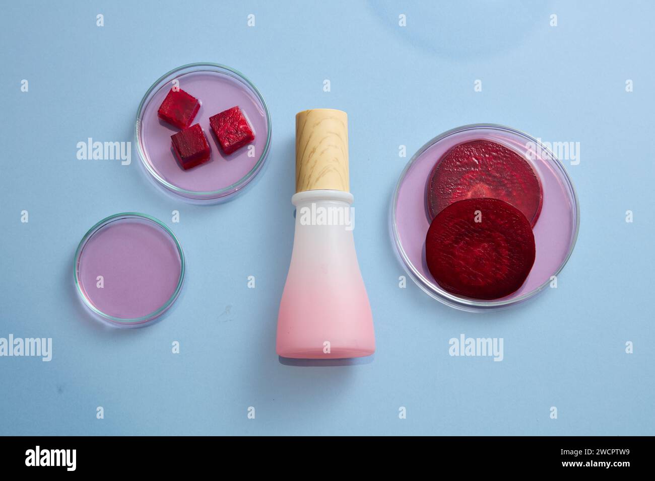 A jar in gradient pink color and some petri dishes of beetroot slices ...