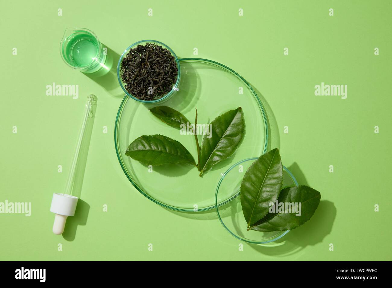 Fresh and dried green tea leaves displayed with a dropper and a beaker ...