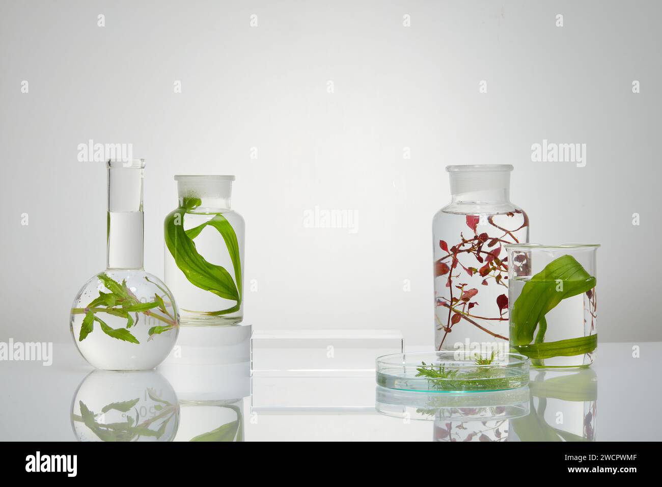 Square shaped podium hi-res stock photography and images - Alamy