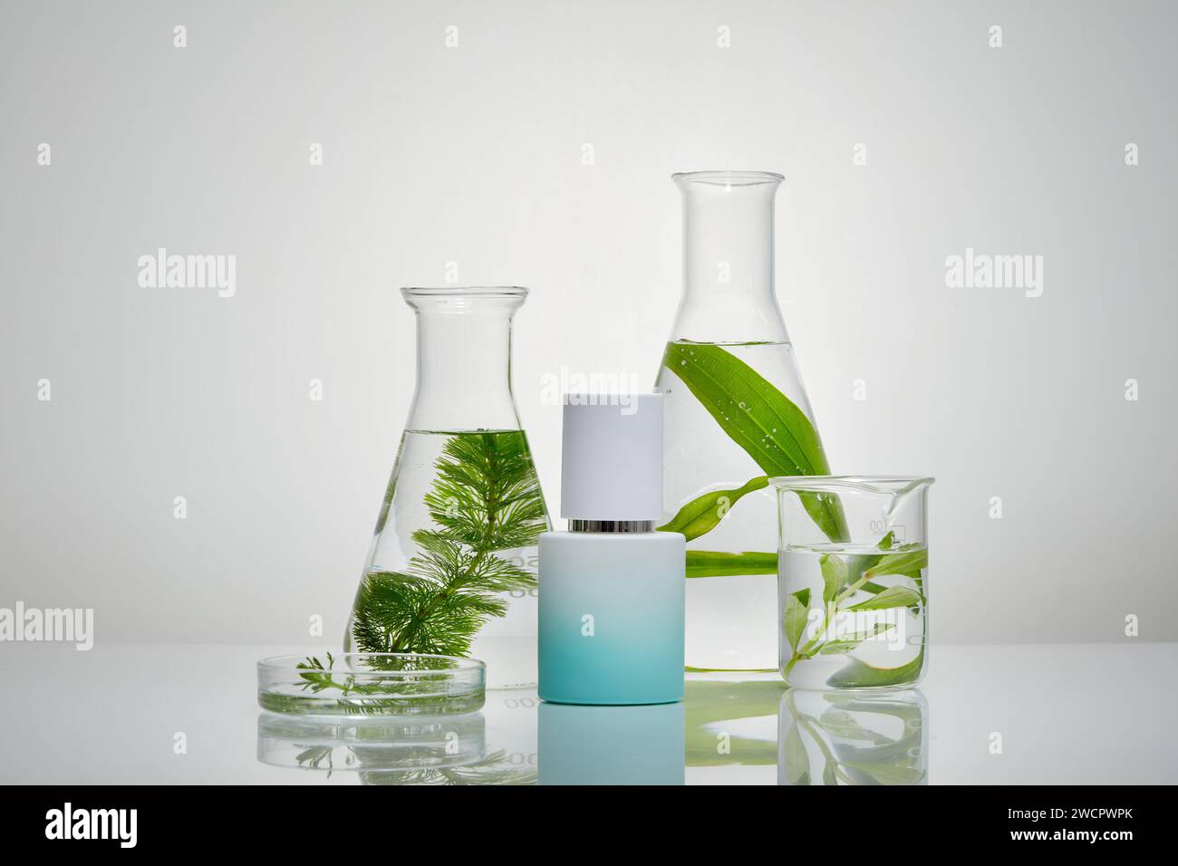 Beaker of water hi-res stock photography and images - Alamy