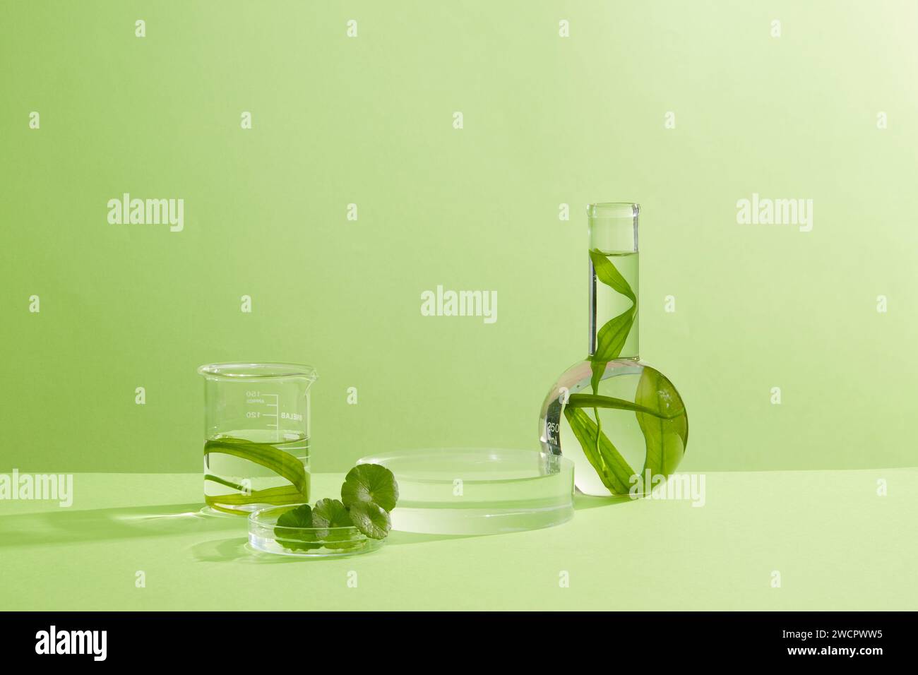 On the light green background, an erlenmeyer flask, a beaker and glass ...