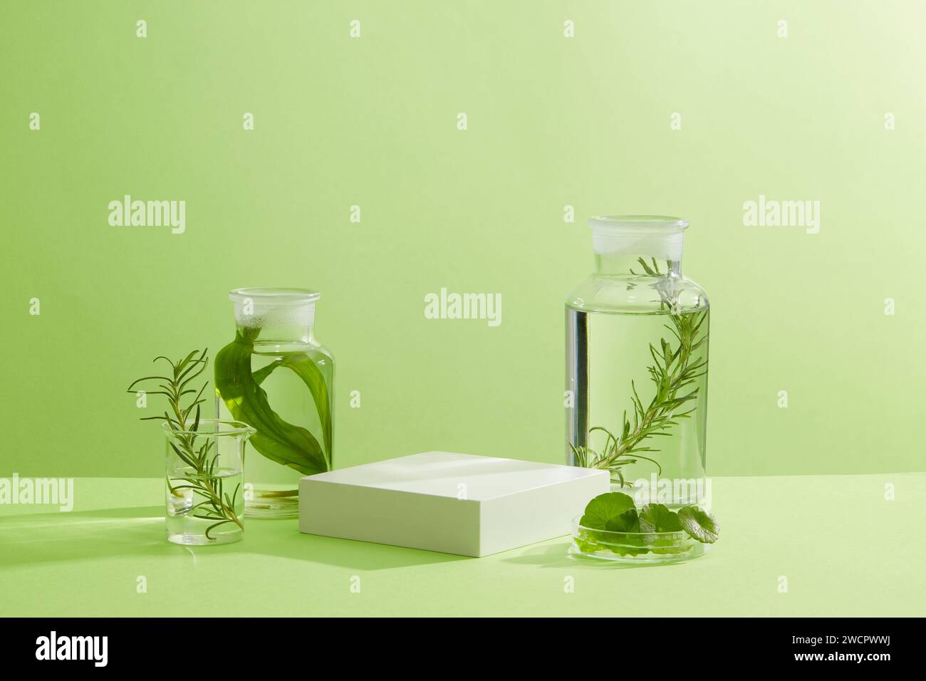 Empty podium decorated with transparent jars, a beaker and petri dish ...